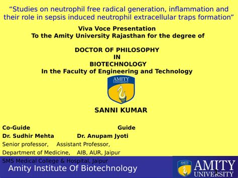 Pdf My Phd Defense Viva Presentation
