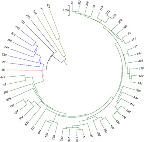 Scielo Brasil Selection And Genetic Dissimilarity In S2 Families Of