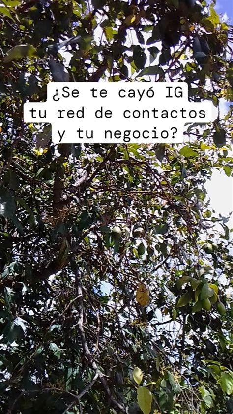 Web Accessibility Ensures That Everyone Including People With Disabilities Can Use Your