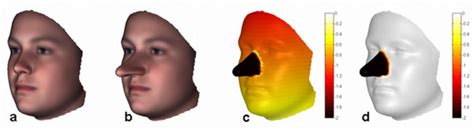 The Pinocchio Effect The Pinocchio Effect Known In Shape Analysis Is