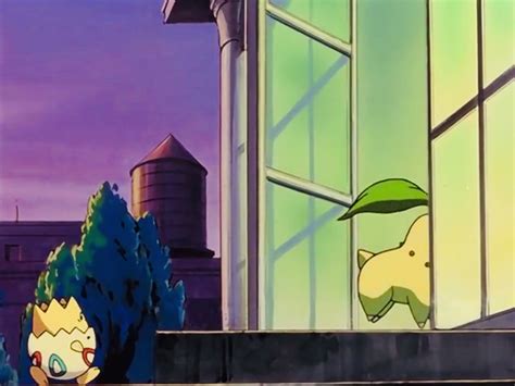 Cyndaquilism On Twitter
