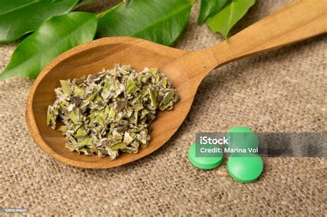 藥用葉子背景上的木勺上的草藥丸草藥藥物製作丸 照片檔及更多 健保和醫療 照片 健保和醫療 健康飲食 剪裁圖 Istock