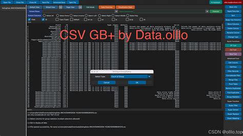 Dataolllo：一个可以打开 100gb Csv 文件的桌面工具 Csdn博客