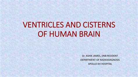 Ventricles And Cisterns Of Human Brain Pptx Brain And Nervous System Disorders Diseases And