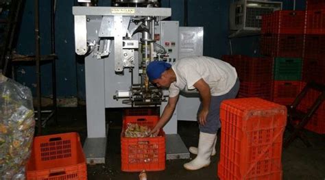 Más De 7 Mil Empresas Registradas Para El Programa Impulso Tabasco