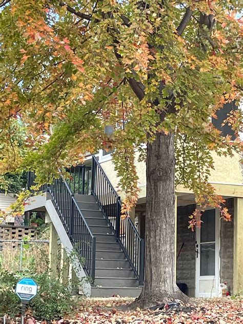 Erickson Koch On Linkedin Another Timbertech Composite Deck And Steps