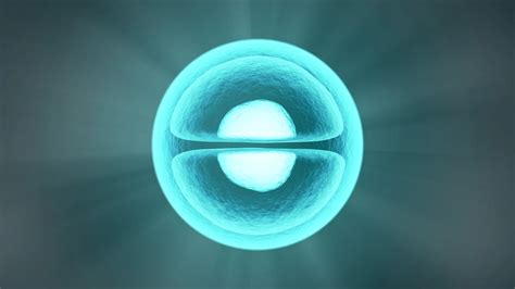 Create An Innodb Replica Set With Mysql Shell Mysql