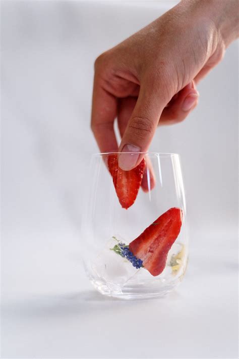 Best Blender For Ice The Blender Guide