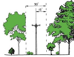Tree Trimming Vegetation Management McLeod Cooperative Power