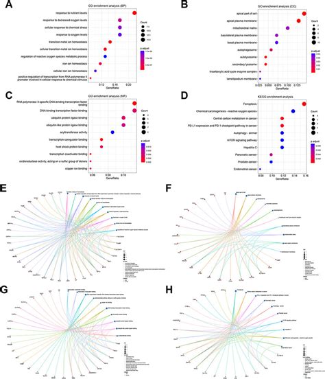 Ppi Network And Identification Of Hub Genes A Ppi Network Of All