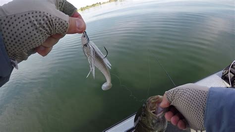 Smallmouth Bass Jigs