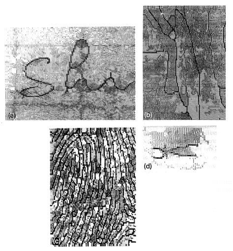 Results Obtained After 10 Iterations When PGTA Is Applied On Figures Download Scientific