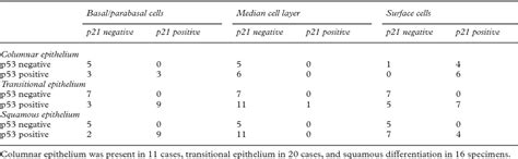 Table 1 From Patterns Of P21waf1cip1 Expression In Non Papillomatous