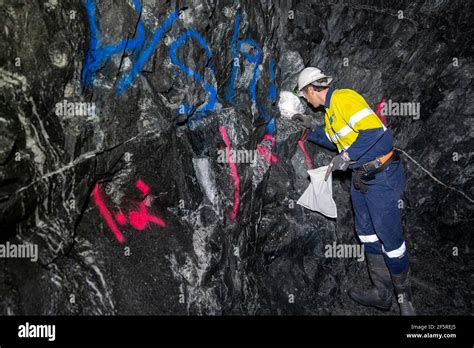 Geologist Sampling Ore And Marking Drilling Instructions In Underground