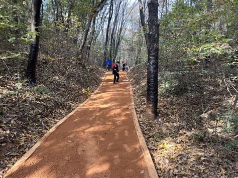 이천시 시민건강 위해 ‘설봉산 황톳길 보수 완료 경기데일리