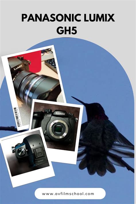 Pin On Cameras For Beginner Filmmakers
