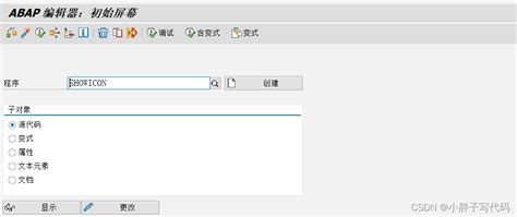 Sap 图标内外码sap Icon 代码 Csdn博客