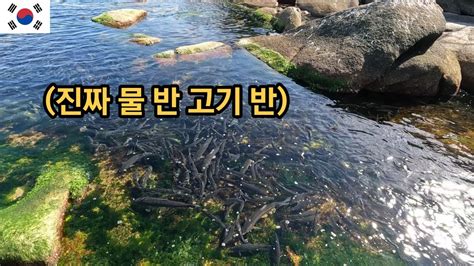 물고기 떼가 사는 사찰 휴휴암 [스쿠터 타고 전국일주26] Youtube