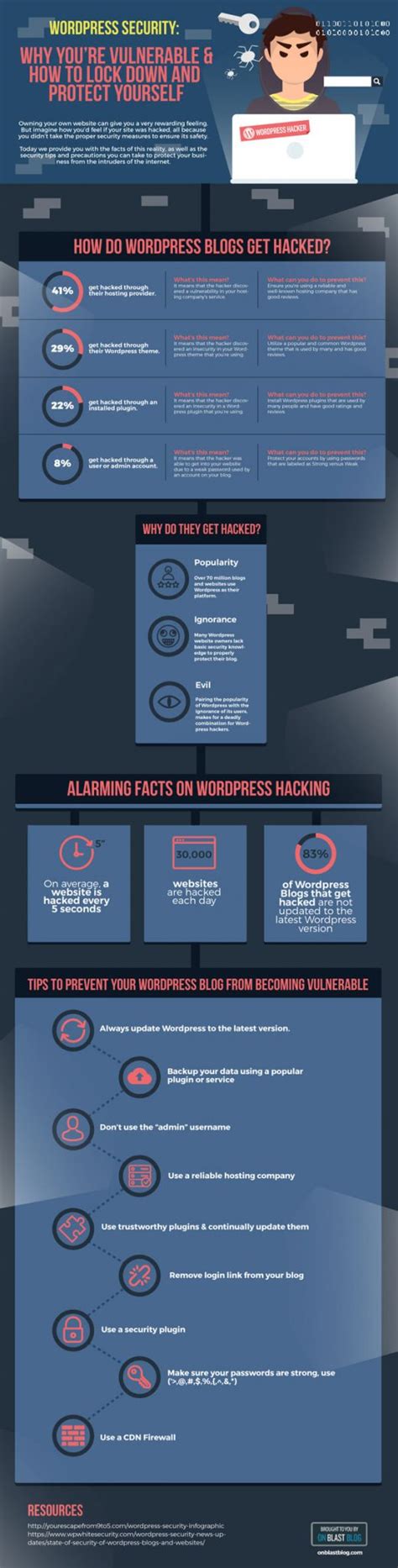 WordPress Security Guide Infographic Best Infographics