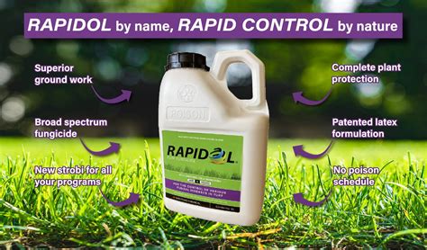 🌱 Control Anthracnose Rot With Turfcare Australia