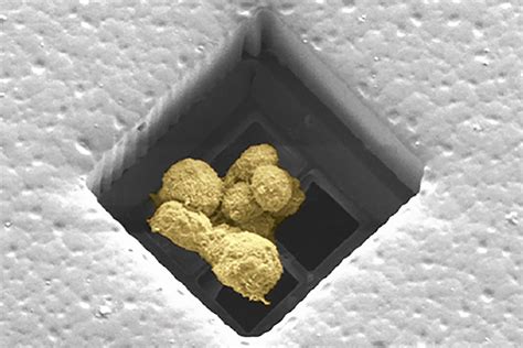 Winship And Georgia Tech Researchers Develop Technology To Better