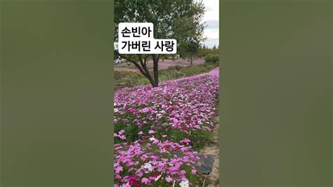 손빈아 가버린사랑 미스터트롯3 Youtube