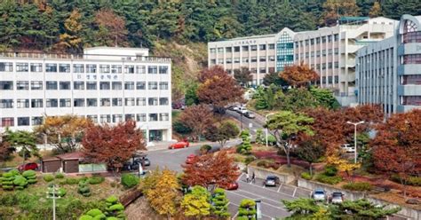 폐교 한국국제대 재학생 특별 편입학 추진