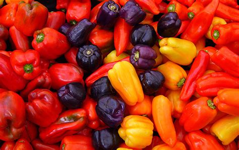 ScienceShot: How the Pepper Got Its Kick | Science | AAAS