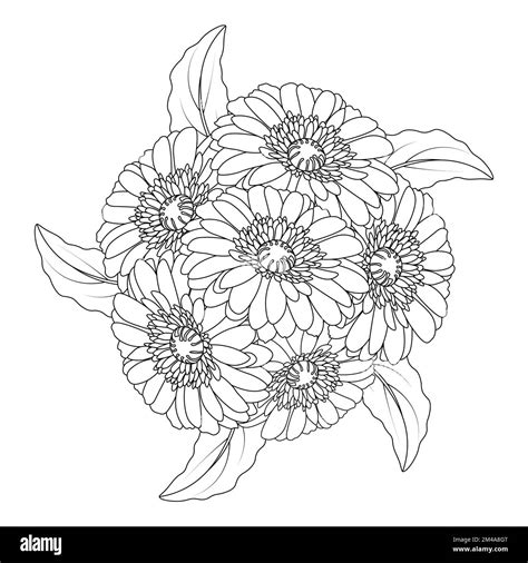 Daisy Flower Drawing Coloring Page With Doodle Art Design In Detailed