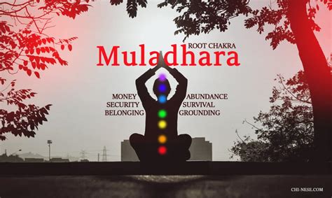 Root Chakra Affirmations Muladhara Affirmations Heal Your Root Chakra