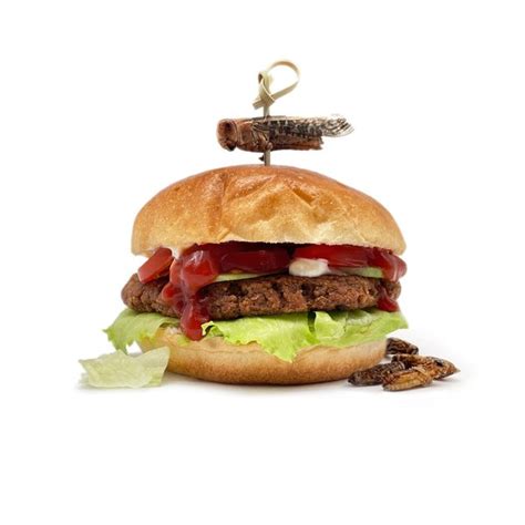 Snack Insects Burger Burgermischung Mit Insekten Protein Kaufen