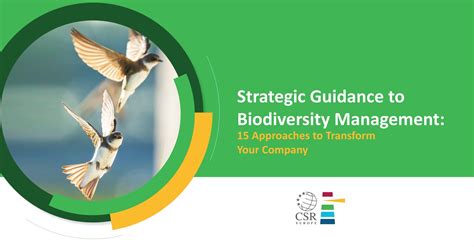 Download Strategic Guidance To Biodiversity Management — Csr Europe