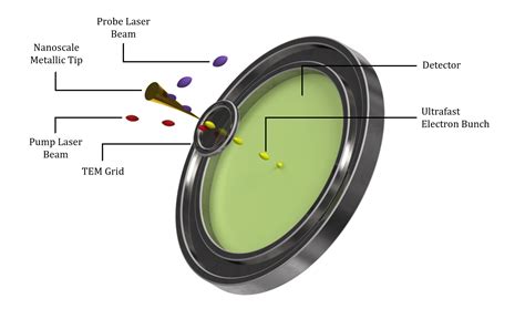 Coherent Electron Sources People University Of York