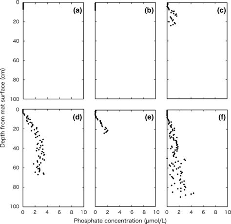 Vertical Profiles Of Phosphate Concentration In Sediments From Lake Download Scientific Diagram
