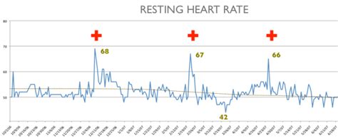 Personal Data Visualization Quantified Self
