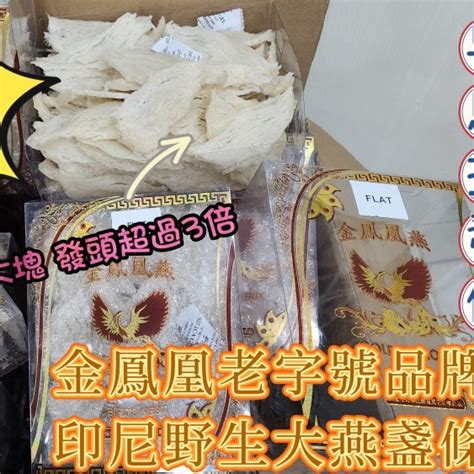 印尼金鳳凰野生大燕盞條 飛藥堂參茸海味