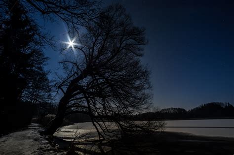 Free Images Tree Nature Silhouette Snow Cold Winter Light