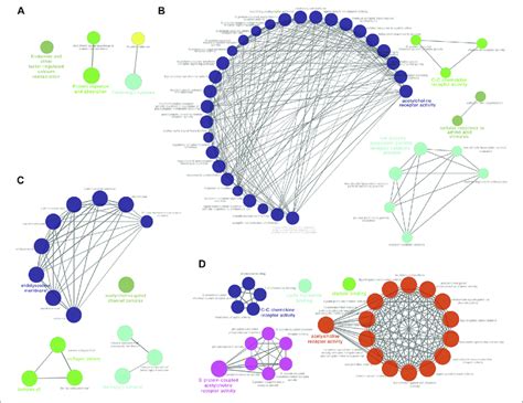 Function Analysis For The Blue Module Using Cluego A Kegg Pathway Download Scientific