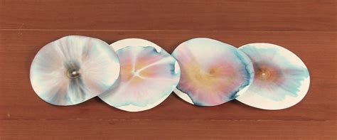 Paper Chromatography Black Ink