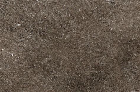 Sensi Brown Fossil R Ptv