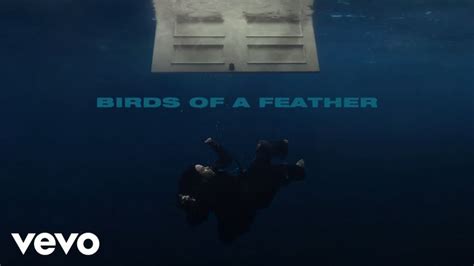 Billie Eilish Birds Of A Feather Official Lyric Video Billie