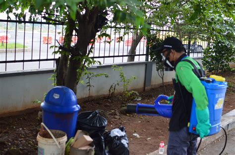 Apa Penyebab Rumah Banyak Kecoa PT Mahaka Improcare Indonesia
