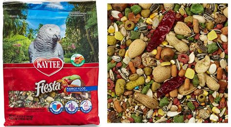 13 Best Foods For African Grey Parrots 2026 Bird Watching Hq