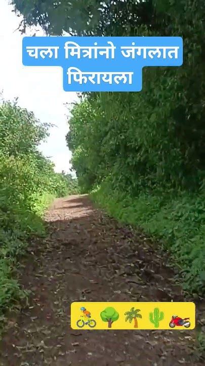 चला मित्रांनो जंगलात फिरायला 🌳🌴 Viralvideo Viralshorts Viralshort