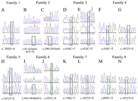 Sequencing Chromatograms Of Variations In Chst6 Identified In This