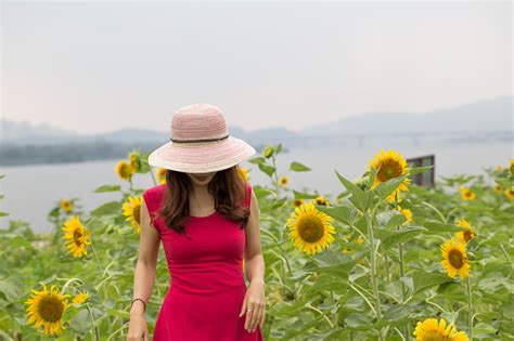 빨간 드레스를 입은 해바라기 밭에 있는 젊은 여성 해바라기 밭에서 모자를 들고 있는 여성 건강한 생활방식에 대한 스톡 사진 및 기타 이미지 건강한 생활방식 경감 균형