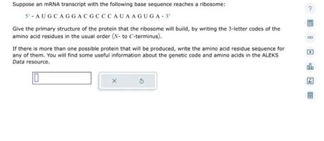Solved Suppose An MRNA Transcript With The Following Base Chegg