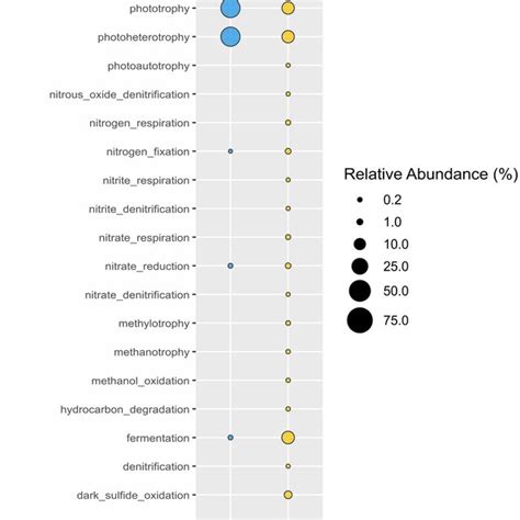 Functional Annotation Of Procaryotic Taxa Faprotax Analysis Results