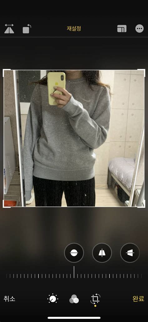 회색맨투맨 두개 완전 다르지 산다 인스티즈 Instiz 일상 카테고리