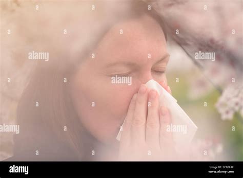 Tree Pollen Allergy In Springtime Concept Woman Blowing And Wiping Her Nose With Paper
